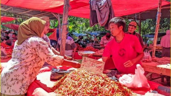 Harga Cabai Rawit di Kabupaten Gorontalo Mulai Naik Jelang Hari Raya Idul Adha - Tribun Gorontalo