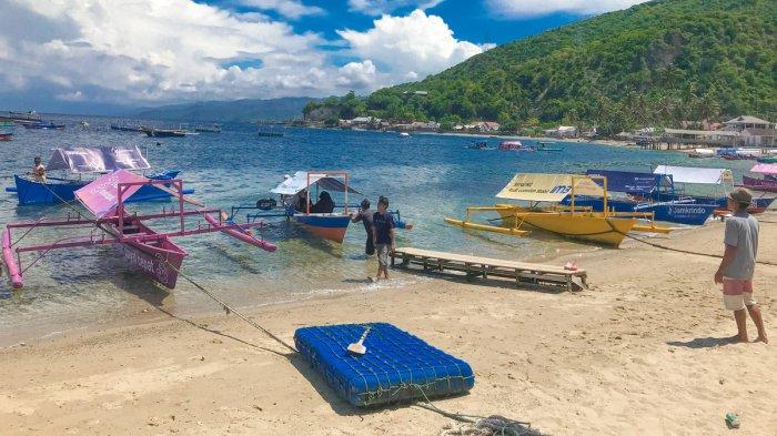 5 Ekor Hiu Paus Muncul Hari Ini Minggu 8 Juni 2025, Lebih dari 30 ...