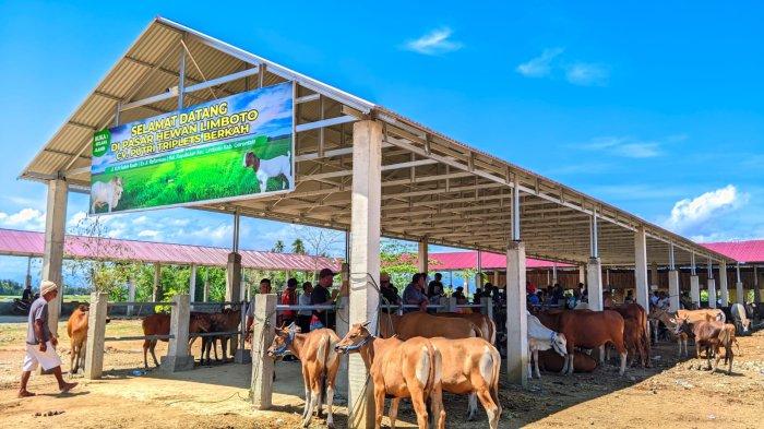Intip Pasar Hewan di Limboto, Masyarakat Kabupaten Gorontalo Kini ...