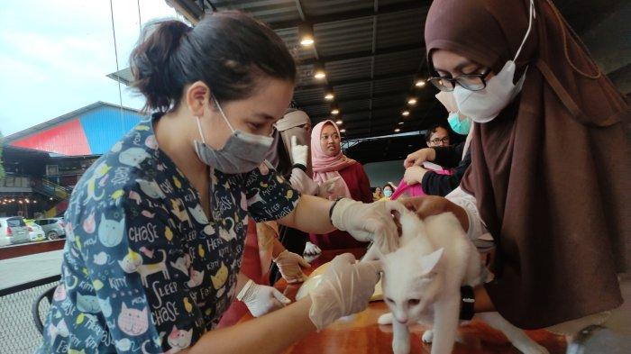 Tekan Angka Rabies, 50 Vaksin Gratis Dibagikan Pet Lovers Gorontalo - Tribun Gorontalo