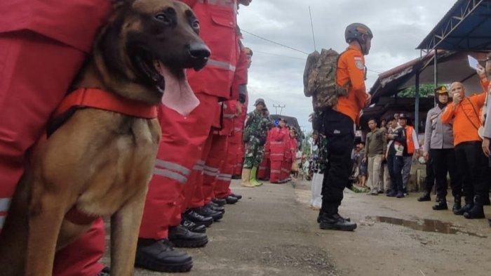 Tim SAR Gabungan Gunakan Anjing K-9 Untuk Cari Korban Longsor di ...