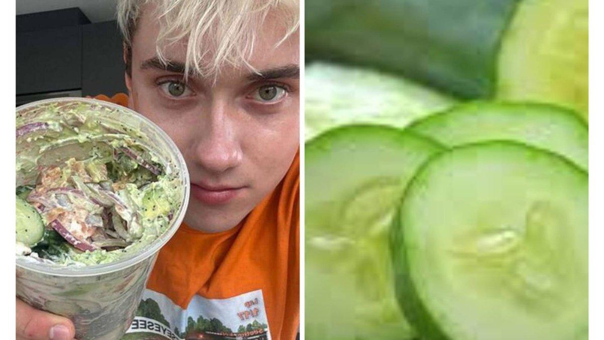 Viral Logan Cucumber Salad, Kenali Ini 6 Manfaat Mentimun Bagi ...
