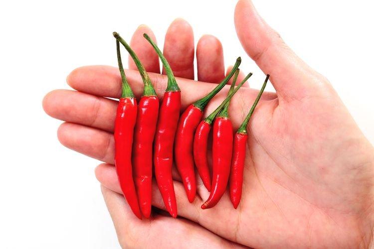 8 Manfaat Makan Cabai untuk Kesehatan, Bantu Menurunkan Berat Badan dan ...