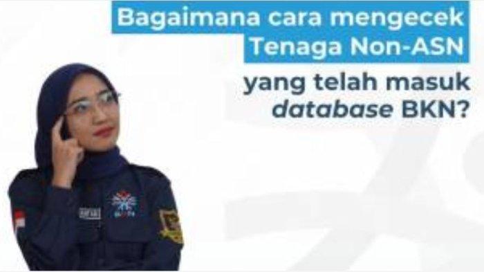 Cara Mudah Cek Status Pendataan Non-ASN untuk Daftar CPNS-PPPK 2024, BKN Beri Arahan ...