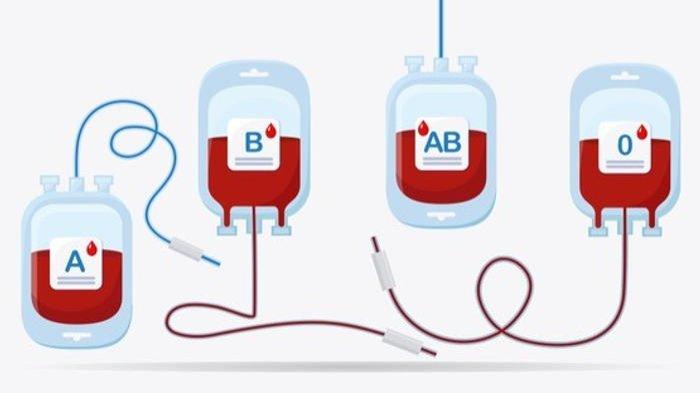 Ini yang Harus Dilakukan sebelum Melakukan Transfusi Darah, Simak ...