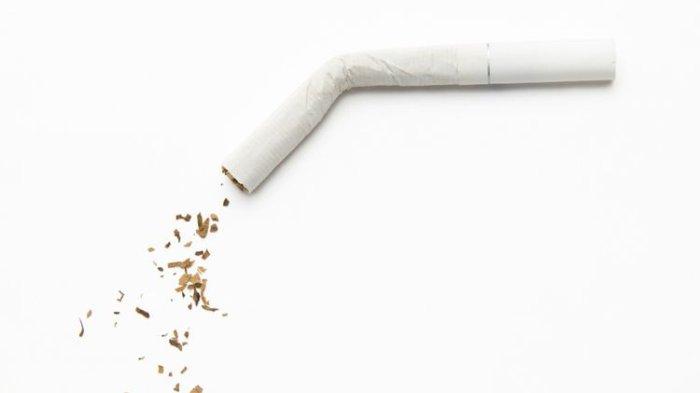 Kondisi Disebut Ejakulasi Dini jika Terdapat 3 Kriteria, Berikut Ulasan ...