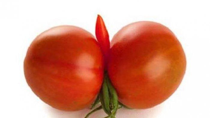 Testis Besar Sebelah Termasuk Normal, namun Perlu Waspada jika Disertai ...