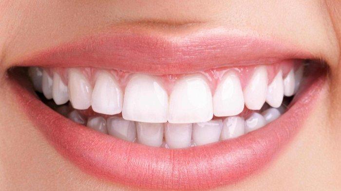 Pentingnya Menyadari untuk Menjaga Kesehatan Gigi dan Mulut ...