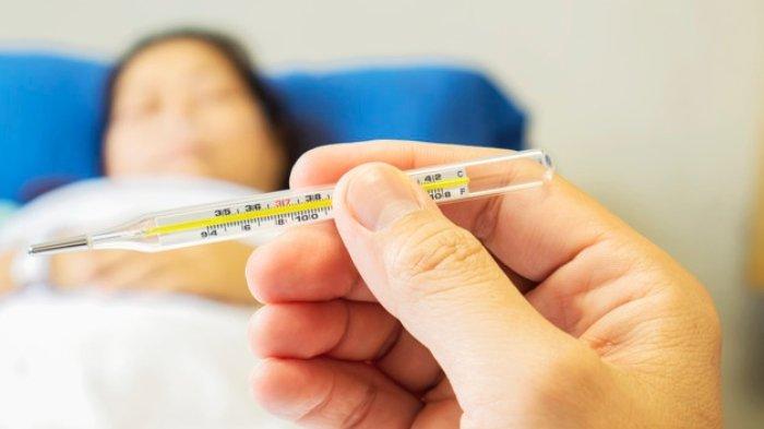 dr. Robert Sinto Sebutkan Plasmodium Penyebab Malaria Hingga Masa ...