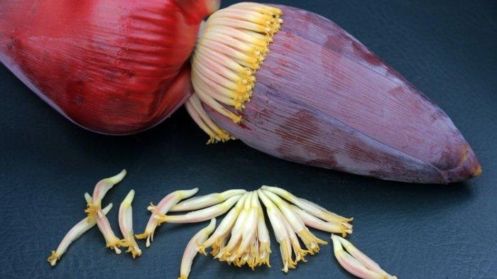 Sederet Manfaat Konsumsi Jantung Pisang untuk Kesehatan: Menangani ...