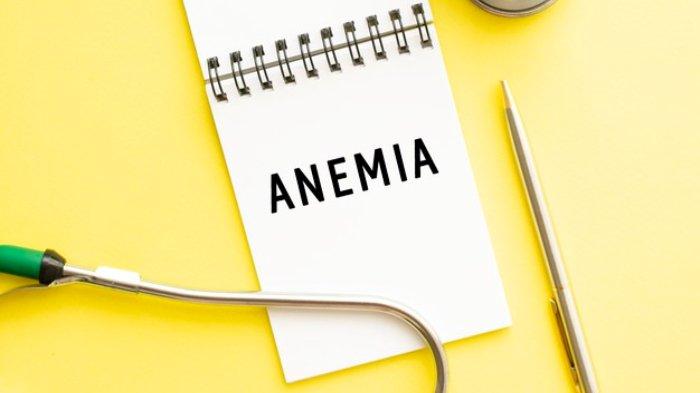 Kenali 3 Jenis Anemia Berikut, dari Ringan sampai Berat - TribunHealth.com