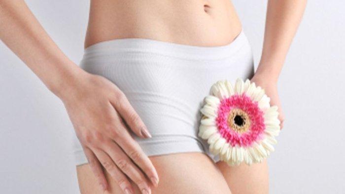 Vagina Bau Saat Berhungan Seksual, Apa Penyebabnya? dr. Binsar Martin ... Vagina Bau Saat Berhungan Seksual, Apa Penyebabnya? dr. Binsar Martin ...
