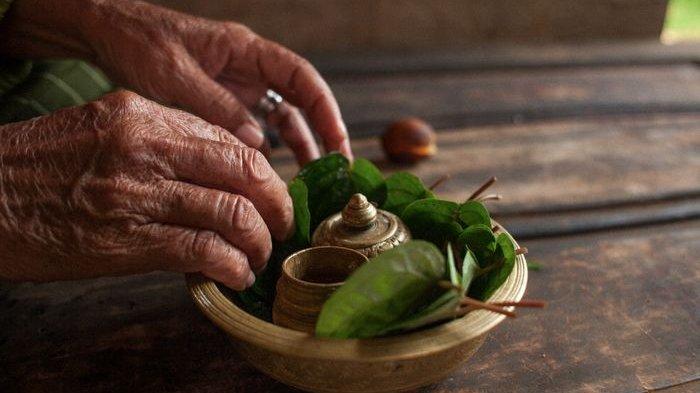 Menelisik Manfaat Kesehatan di Balik Tradisi Nyirih - TribunHealth.com