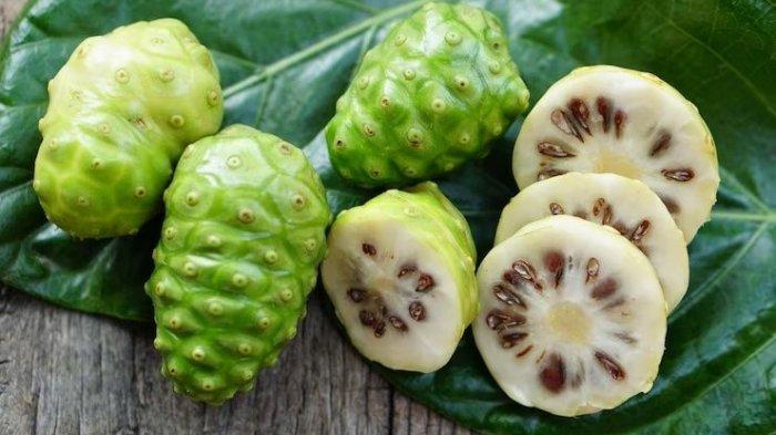 6 Rahasia Buah Mengkudu untuk Kesehatan, Obati Beragam Penyakit ...