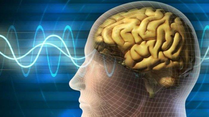 Mengenal Penyakit Meningitis, Peradangan pada Selaput Otak yang bisa ...