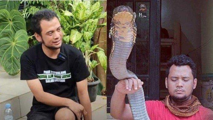 Bukan Digigit Ular Kobra, Panji Petualang Jadi Kurus karena Penyakit ...