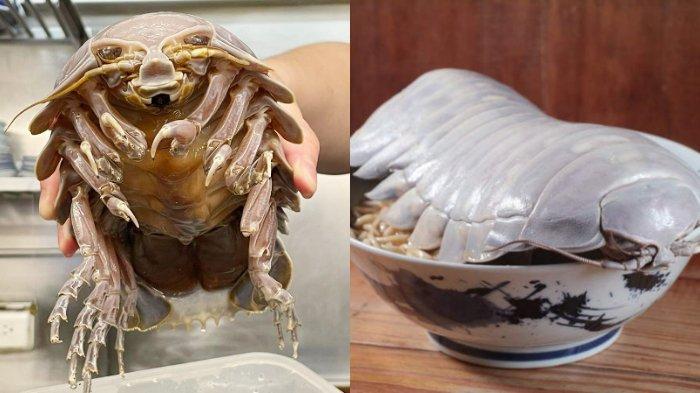 Unik, Restoran Sajikan Ramen dengan Toping 'Kecoa Raksasa' Seharga Rp ...