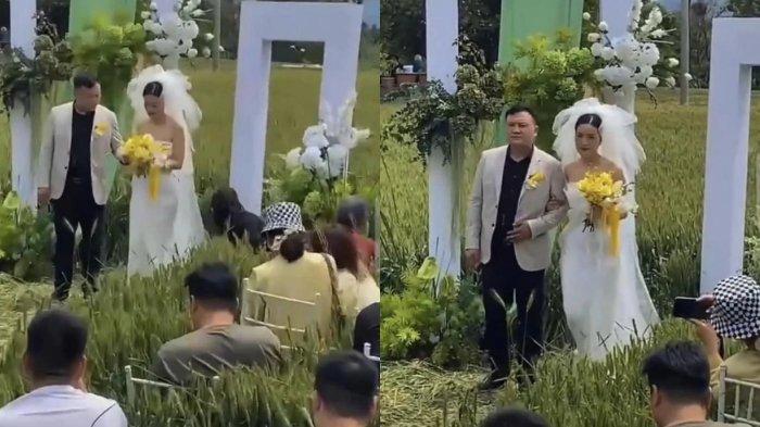 Viral Konsep Pernikahan di Sawah, Tamu Duduk di Tengah Hamparan Padi: Lihat Aja Udah Gatal ...