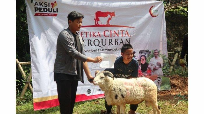 Assyifa Peduli Sembelih 349 Hewan Qurban dalam dua hari - Tribunjabar.id