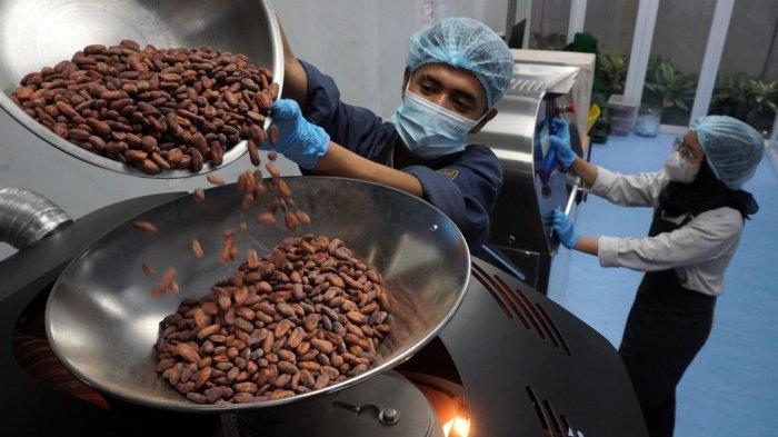 Produksi Cokelat di Terve Chocolate - Tribunjabar.id