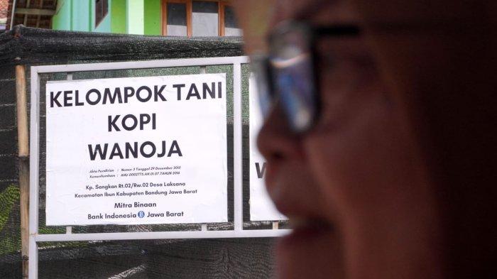 Kopi Wanoja Tembus Pasar Internasional - Tribunjabar.id