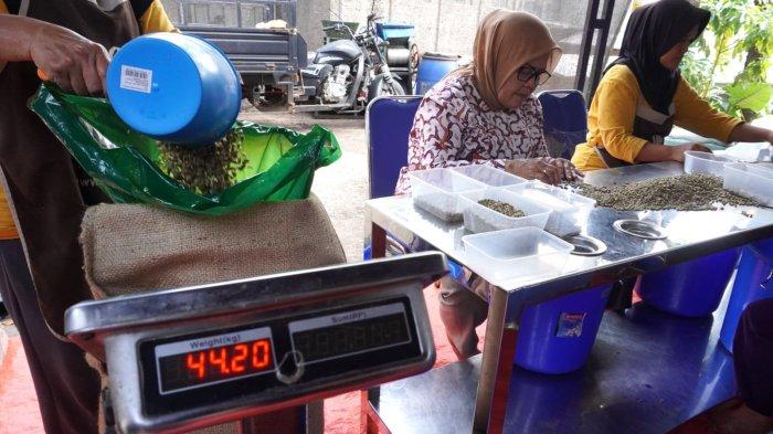 Kopi Wanoja Tembus Pasar Internasional - Tribunjabar.id