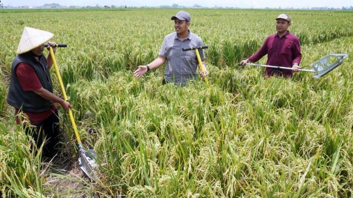Panen Raya Budidaya Digjaya Menggunakan Alat Bantu Hasil Inovasi UGM ...