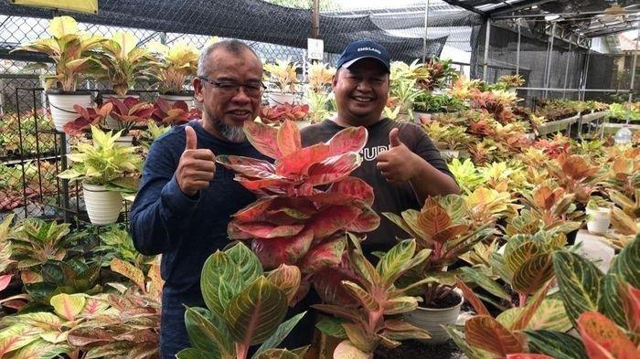 Anggota DPRD Jabar Anwar Yasin Dorong Kemajuan Petani Tanaman Hias ...