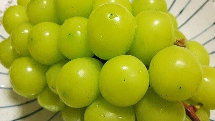 Viral Isu Anggur Shine Muscat Mengandung Pestisida Berbahaya, Ini ...