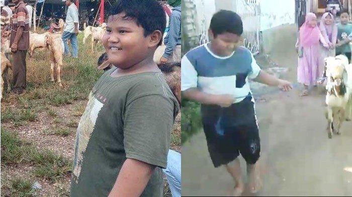 Viral Bocah SD Kurban Kambing Hasil Nabung Rp 5 Ribu Sehari, Tahun Depan Ingin Kurban Sapi ...