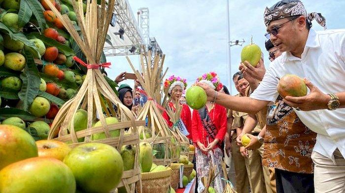 Festival Mangga Kembali Digelar di Indramayu, Beragam Jenis Mangga ...