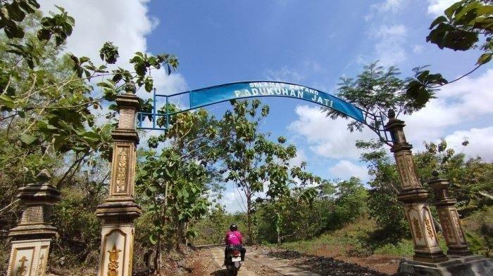 Puluhan Warga Gunung Kidul Positif Antraks, Diduga Berawal Dari Ini, Sri Sultan Ungkap Keheranan ...