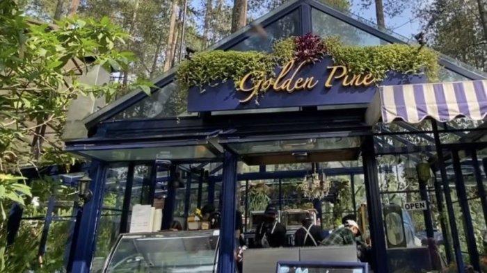 Golden Pine, Kafe Estetik Bergaya Eropa di Wisata Orchid Forest Lembang ...
