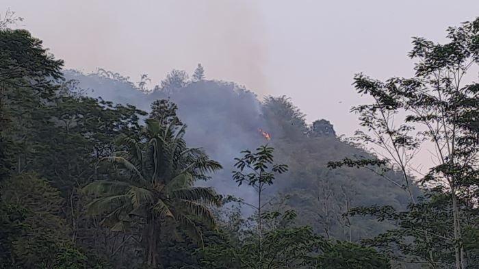 BREAKING NEWS: Gunung Ranggagading di Sukabumi Terbakar, Asap Membubung ...