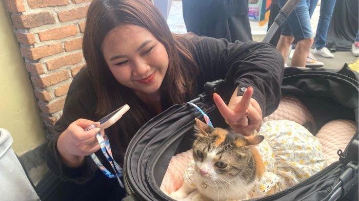 Mengenal Neng Molen Cantik, Catinfluencer yang Viral Setelah Video Ileran di Kasur - Tribunjabar.id