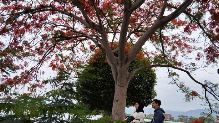 Menikmati IPAL Cikoneng, Lokasi Pengolahan Limbah yang Tawarkan ...