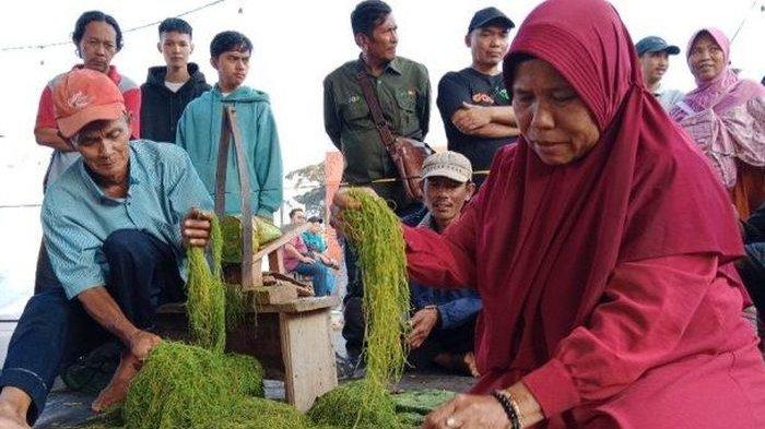 Pengusaha Tembakau di Sumedang Berharap Ada Labolatorium untuk Uji ...