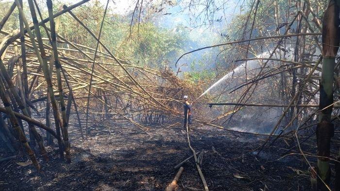 Kebun Bambu di Jatinangor Sumedang Hangus Terbakar, Dua Jam Baru Padam ...