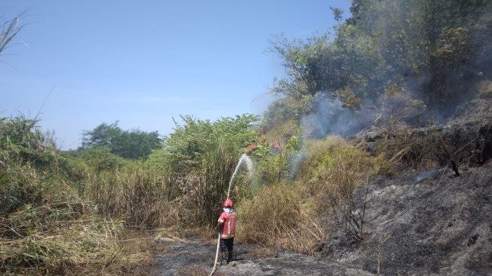 700 Meter Persegi Lahan Ilalang di Dekat Gerbang Tol Cimalaka Sumedang ...