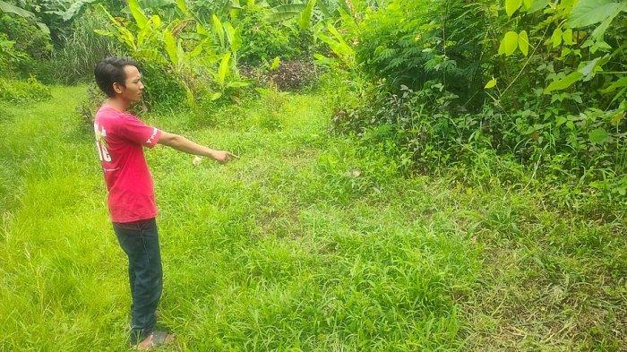 Perundungan Bocah Terjadi Lagi, Kali Ini di Cirebon, Vedeonya Juga ...