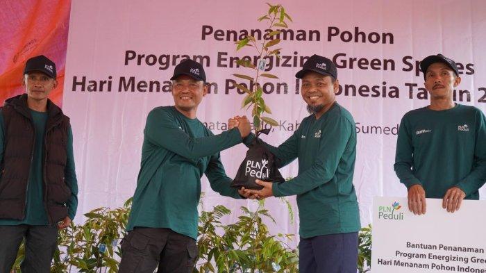 Hari Menanam Pohon Indonesia, PLN Tanam 1.400 Pohon dalam Program Energizing Green Spaces ...
