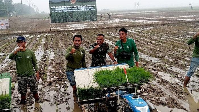 Pangkostrad Tanam Perdana Padi di Lahan Ketahanan Pangan Kostrad Subang Seluas 30 Hektare ...