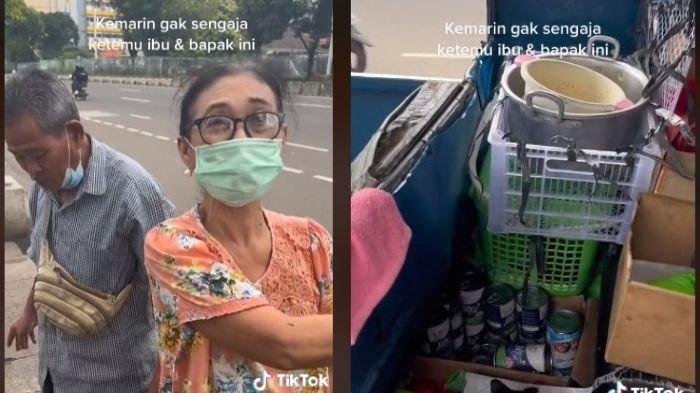 Viral Kisah Pasutri yang Keliling Jakarta Menggunakan Bajaj Beri Makan 300 Kucing Liar, Tuai ...