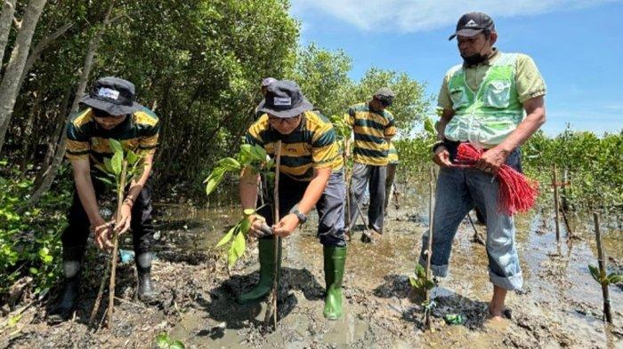 Jaga Ekosistem, Pertamina EP Zona 7 Libatkan Komunitas Pang Laot Tanam ...