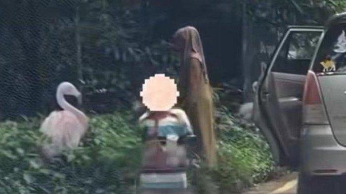 Viral, Satu Keluarga Nekat Turun dari Mobil di Area Terlarang Taman ...