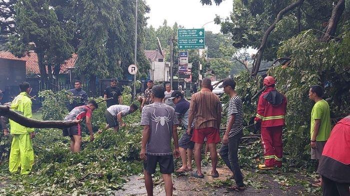 Cimahi Macet Luar Biasa Hari Ini, BPBD Sebut Pohon Tumbang Terjadi di Sembilan Titik ...