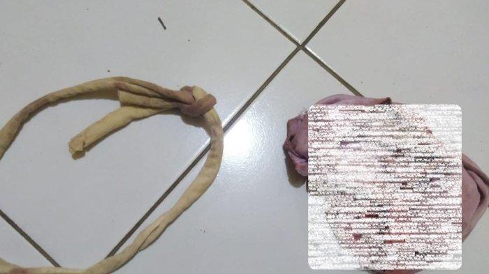 RAJA TEGA, Residivis di Tasik Ini Rampok Rumah Tetangga Sendiri, Ikat ...