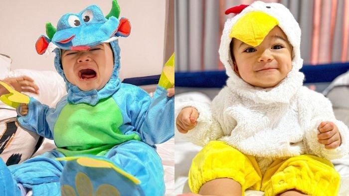 POTRET Menggemaskan Baby Adzam Cosplay Pakai Kostum Ayam dan Sapi ...