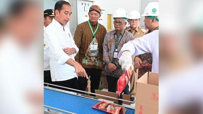 Minyak Makan Merah Diendorse Jokowi, Diklaim Lebih Murah dan Bernutrisi Dibanding Minyak Goreng ...