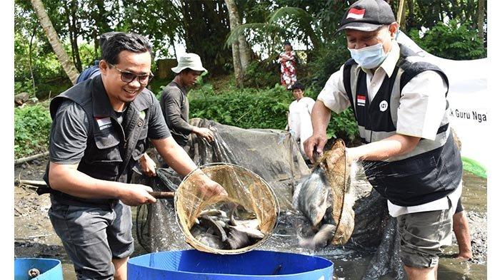 Dari Peternak Biasa Menjadi Enterpreneur Ternak - Tribunjabar.id